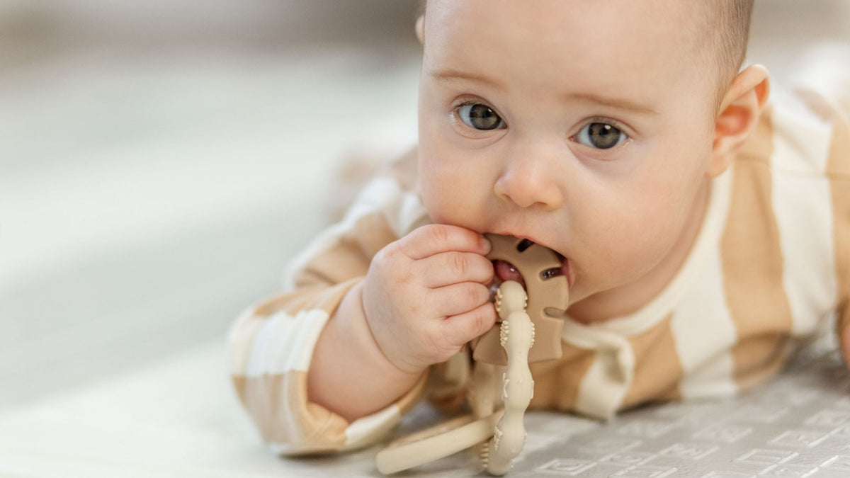 The Baby Teething Guide: Myths, Facts & Soothing Secrets — Feelgood Health