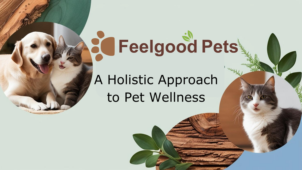 Feelgood Pets: A Holistic Approach to Pet Wellness — Feelgood Health