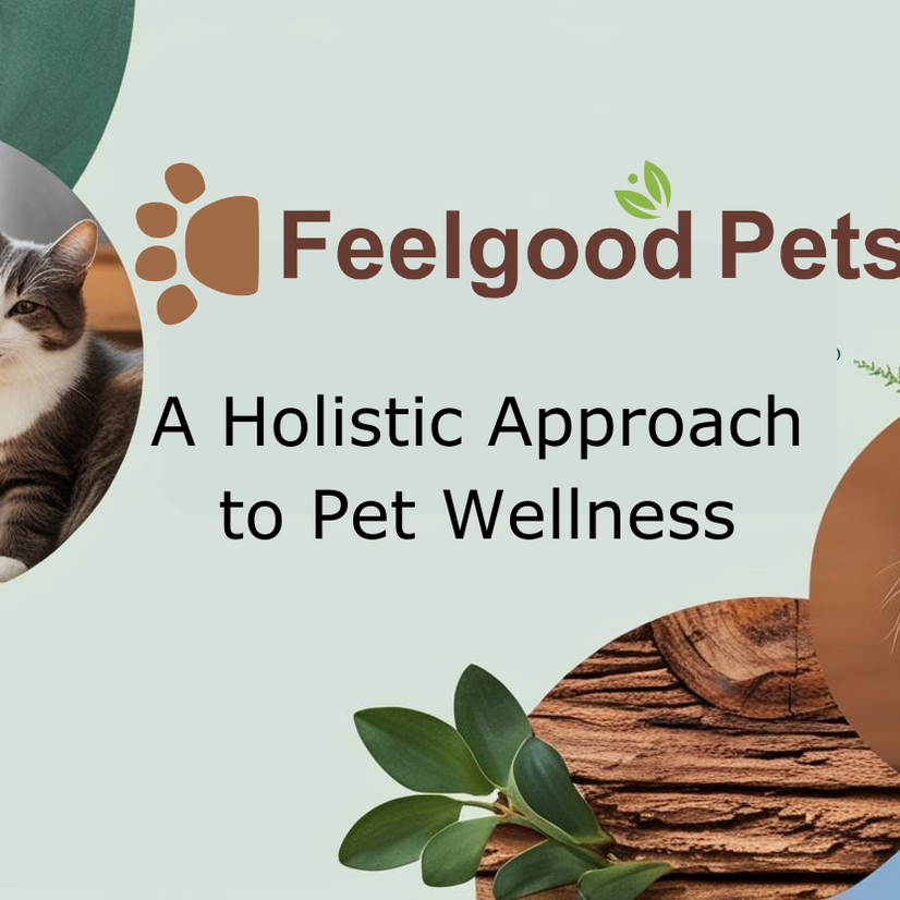 Feelgood Health | Natural Remedies for the Family!