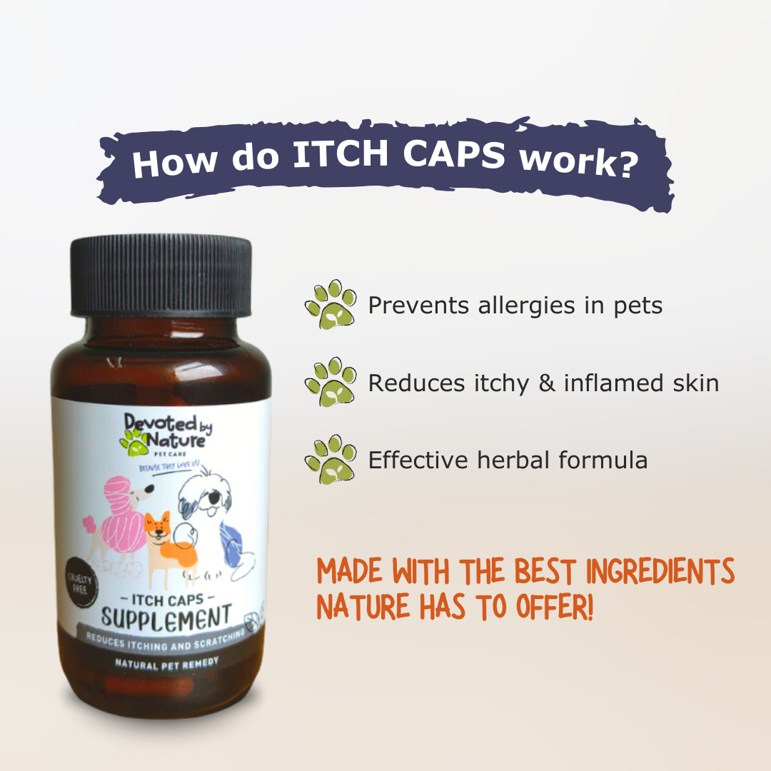 Itch Caps - a scientific overview. How do they work? — Feelgood Health