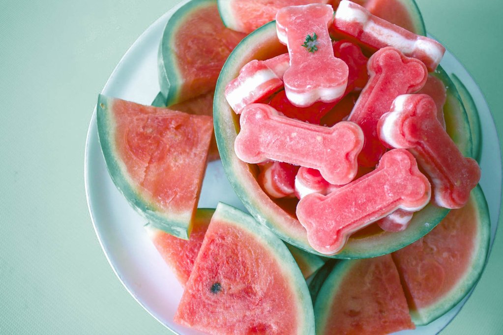 Recipe: Frozen Watermelon Summer Dog Treats — Feelgood Health