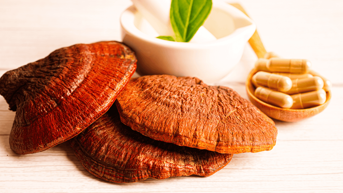 Immune Boosting Benefits Of Turkey Tail — Feelgood Health